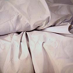 indigoalison: Alison Watt